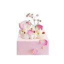 Spring Garden | Smile Yogurt